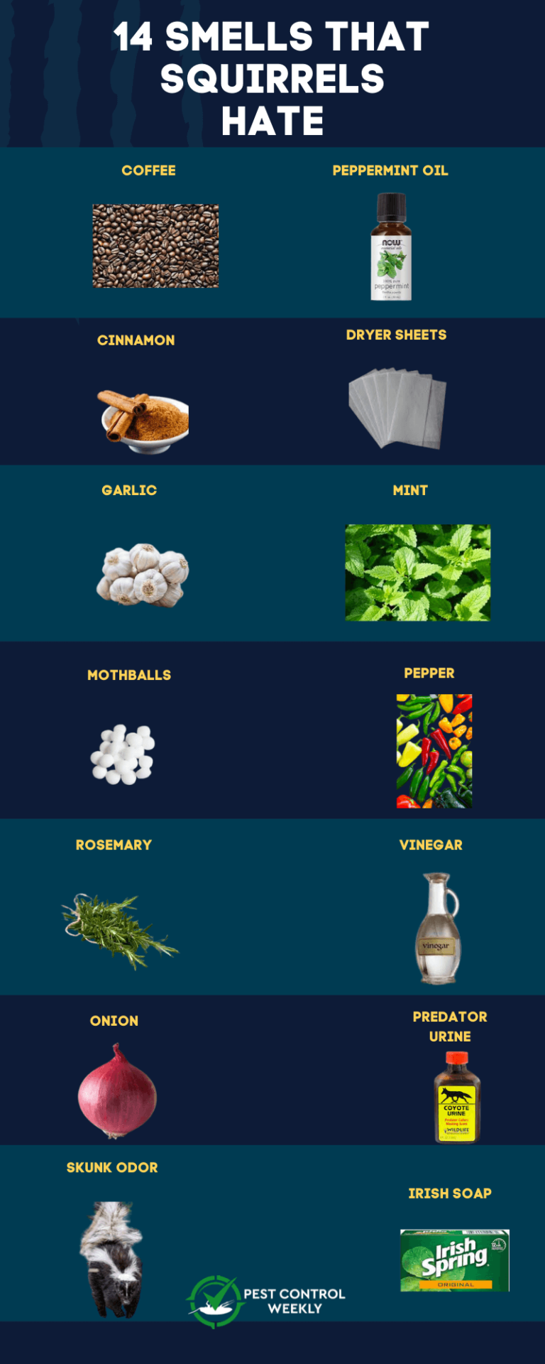 What Smells Do Squirrels Hate [14 Smells]