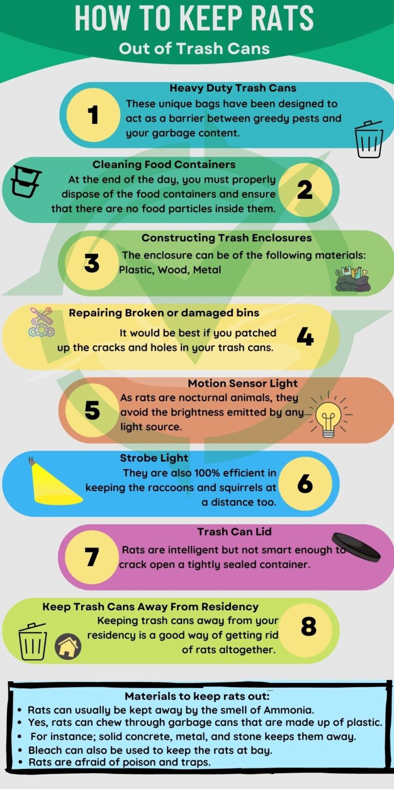 How To Keep Rats Out Of Trash Cans [8 Tips]