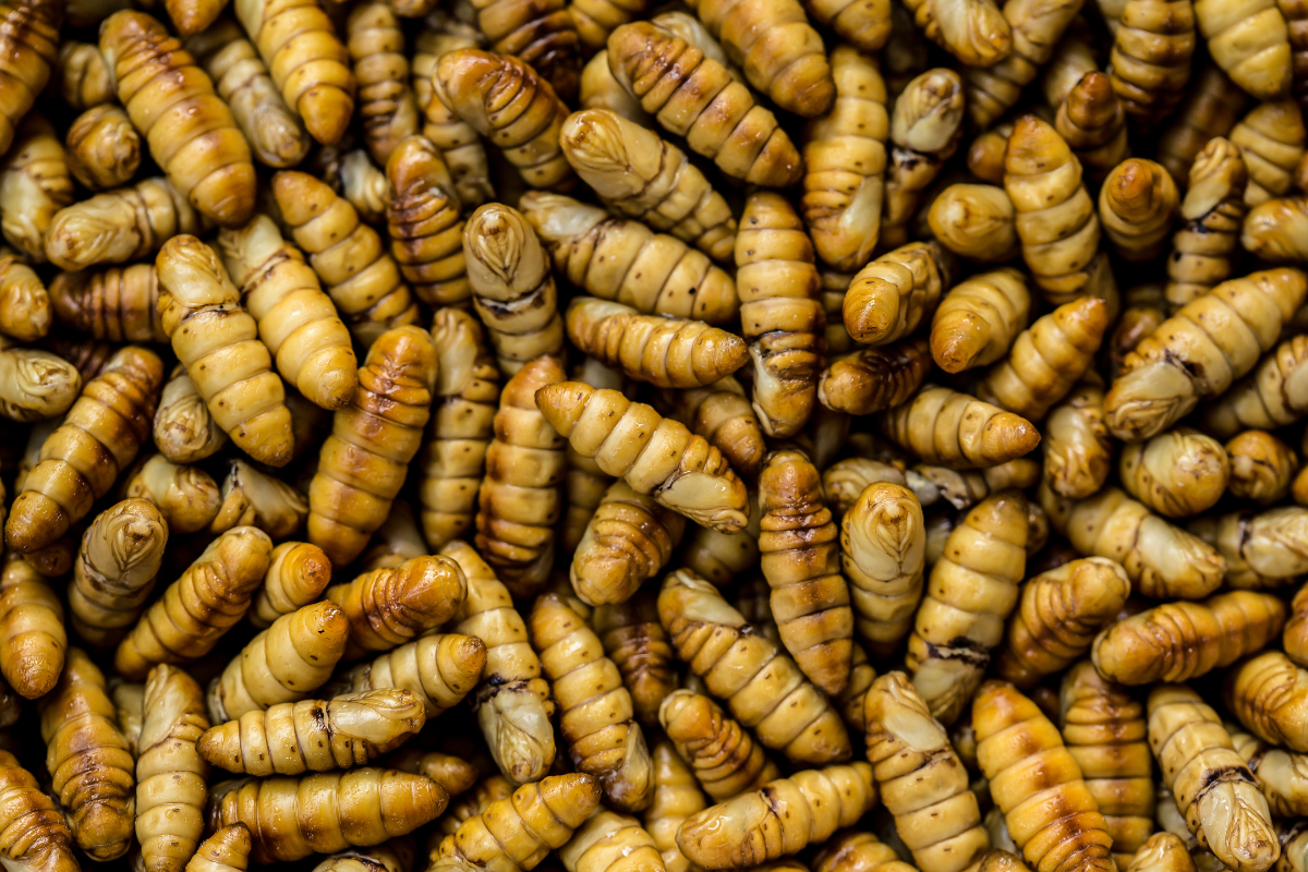 Does Gasoline Kill Wasps Instantly?